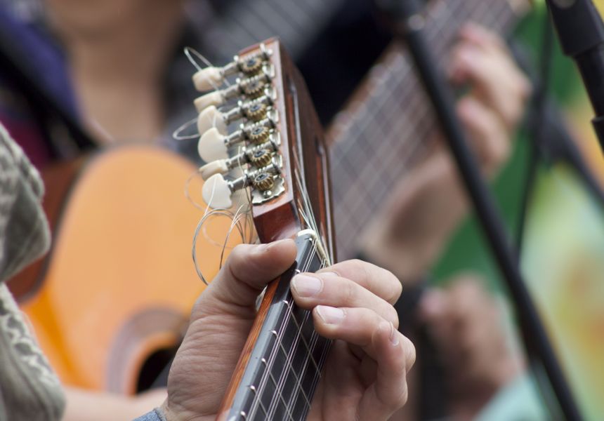 El Trueque, Alegría Vallenata y la Riolina, música campesina en la ...